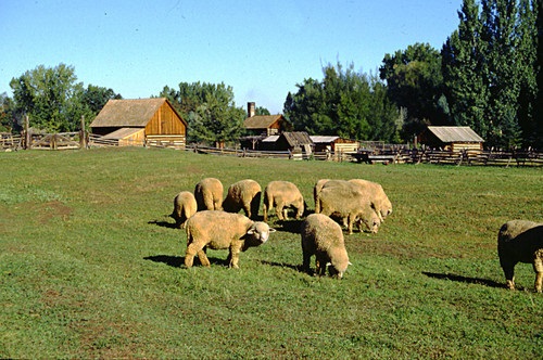 1860s Living History Farm Littleton Museum